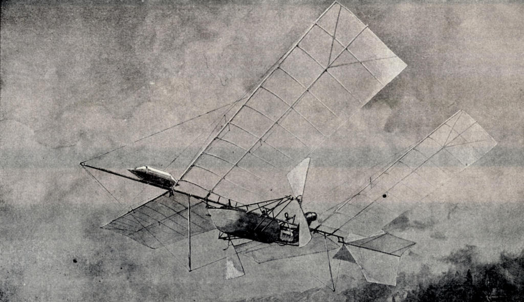 Whitehead News Articles