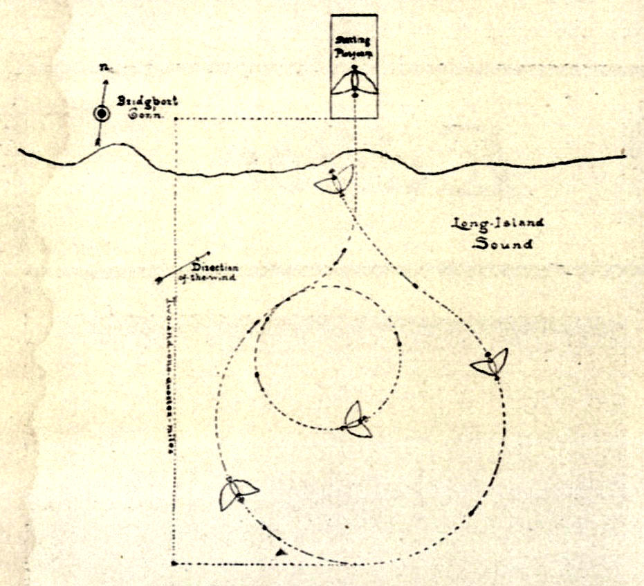 Whitehead News Articles