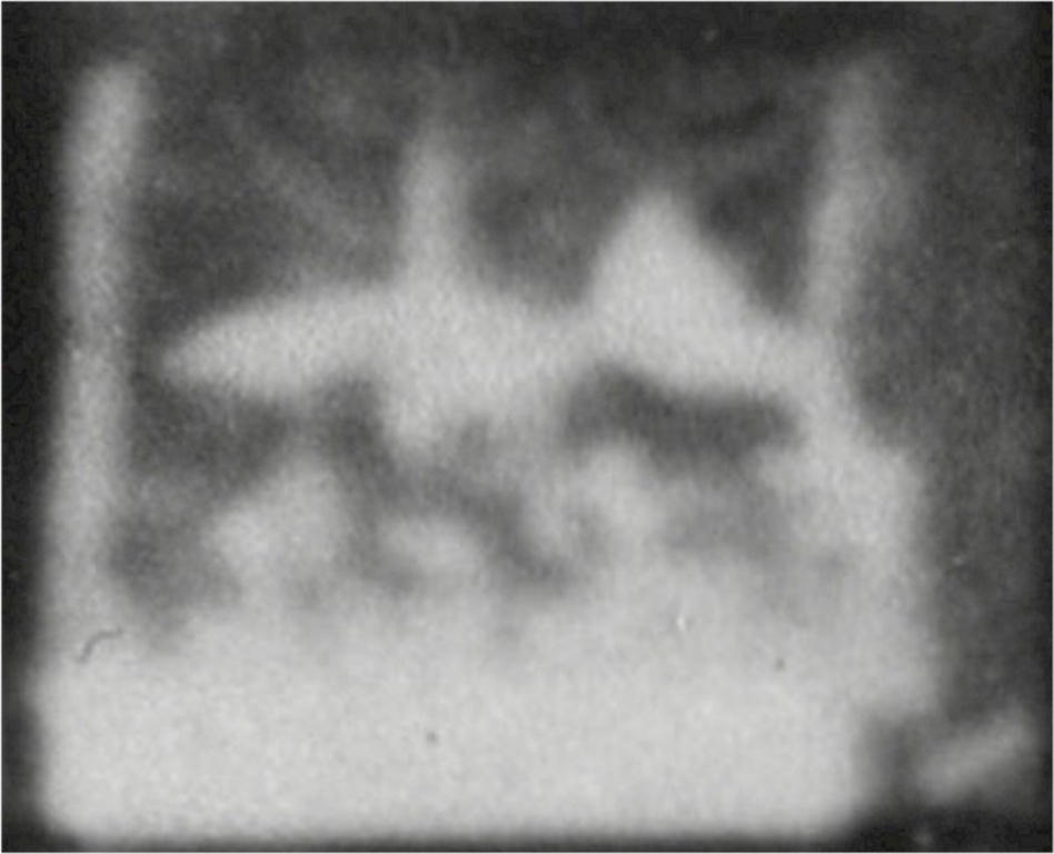 The Case for Gustave Whitehead