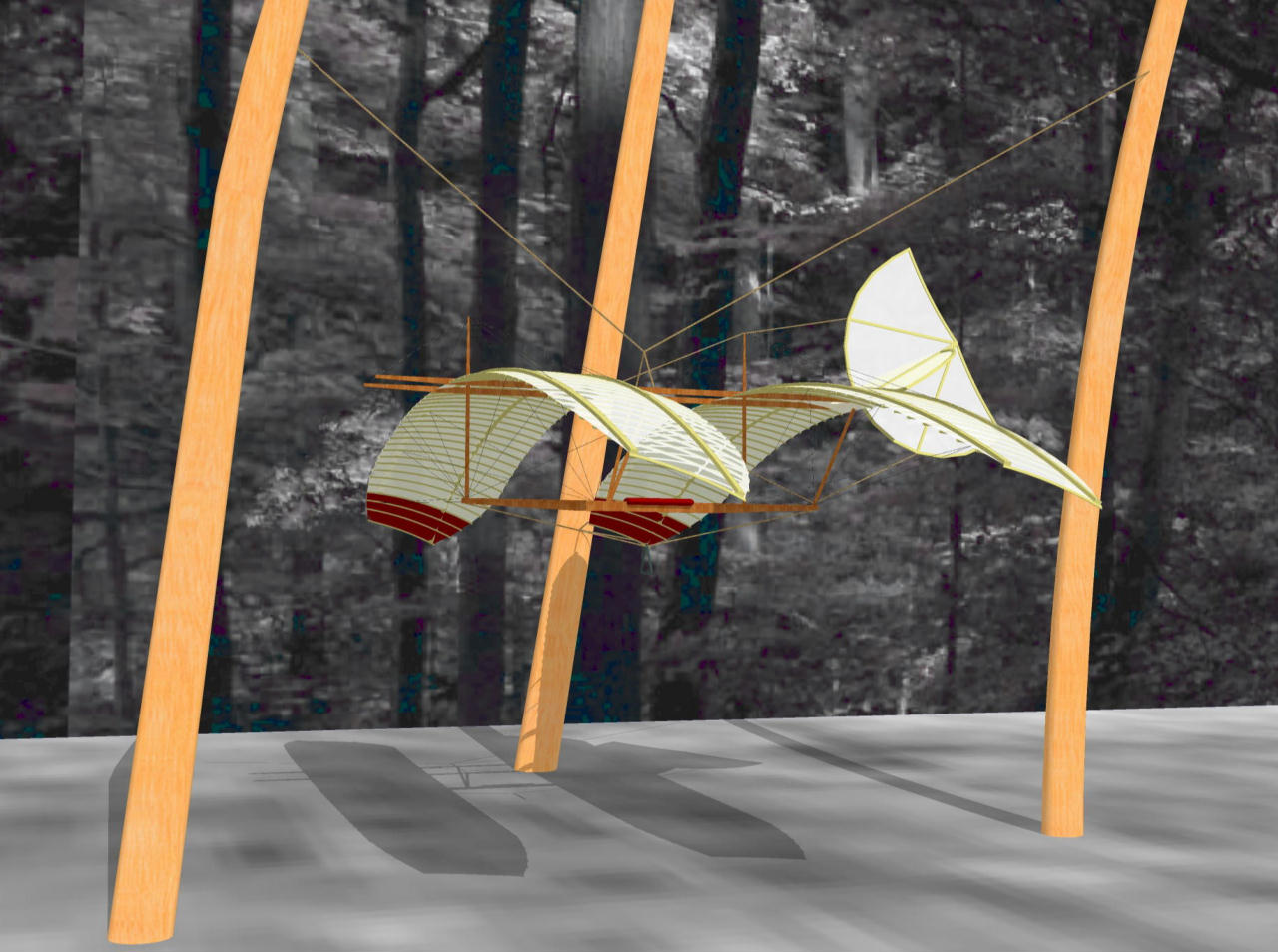 The Case for Gustave Whitehead