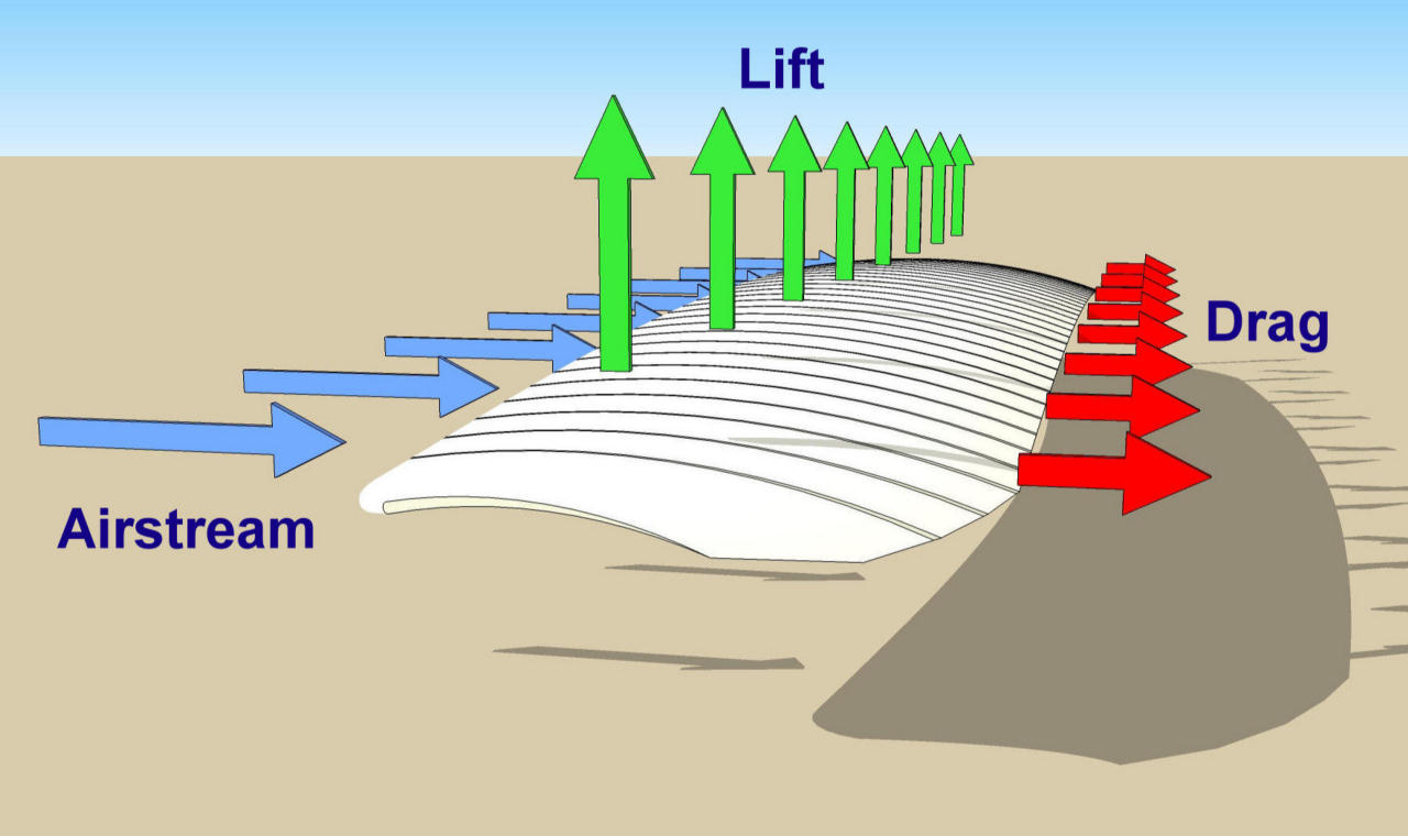 The Last Piece of the Puzzle